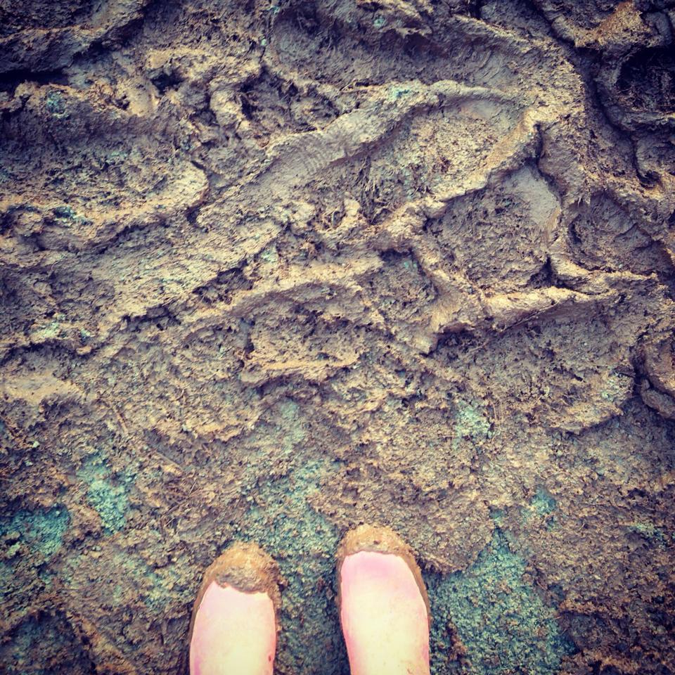 Les eurocks vues par les festivaliers : "Niveau organisation, les ...